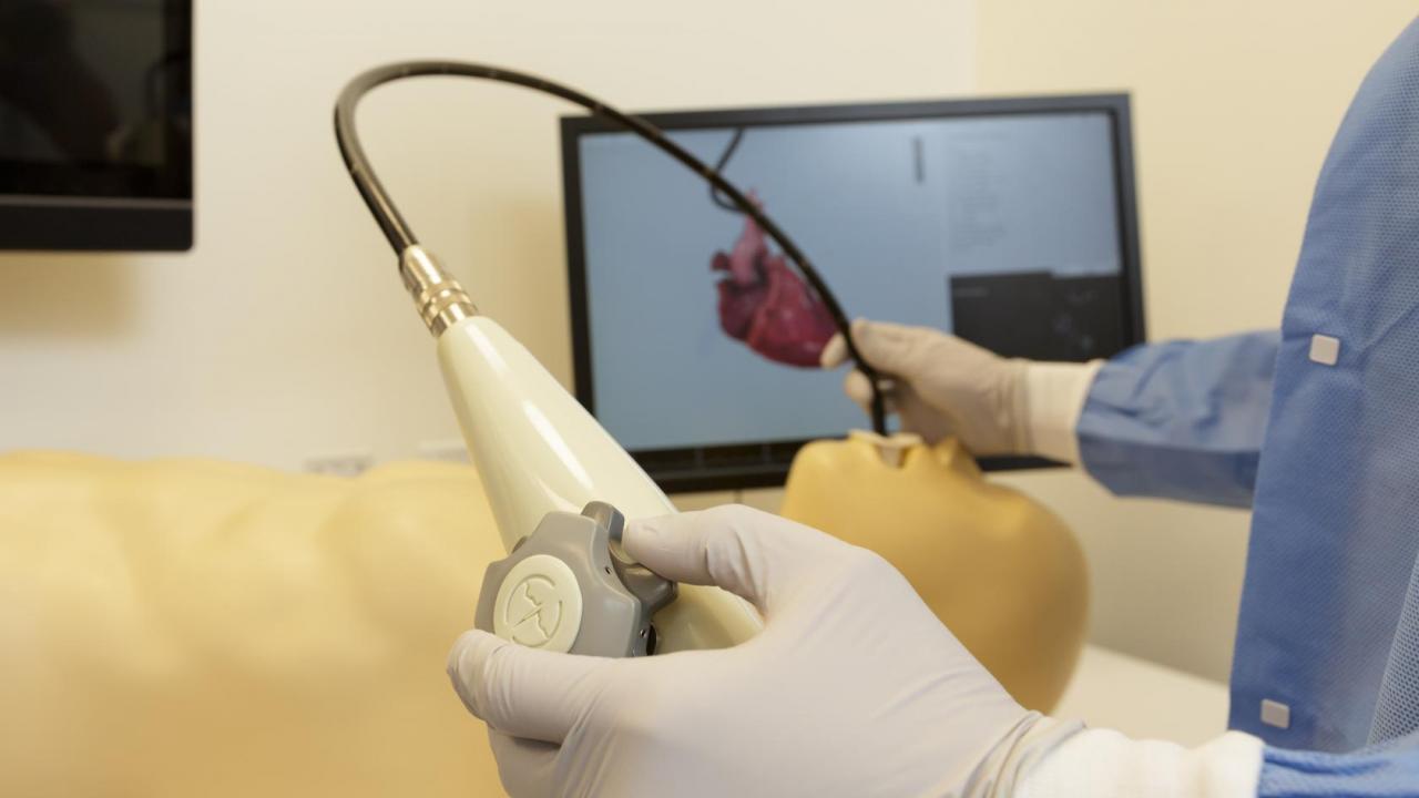 Cardiothoracic Anesthesia | Anesthesiology